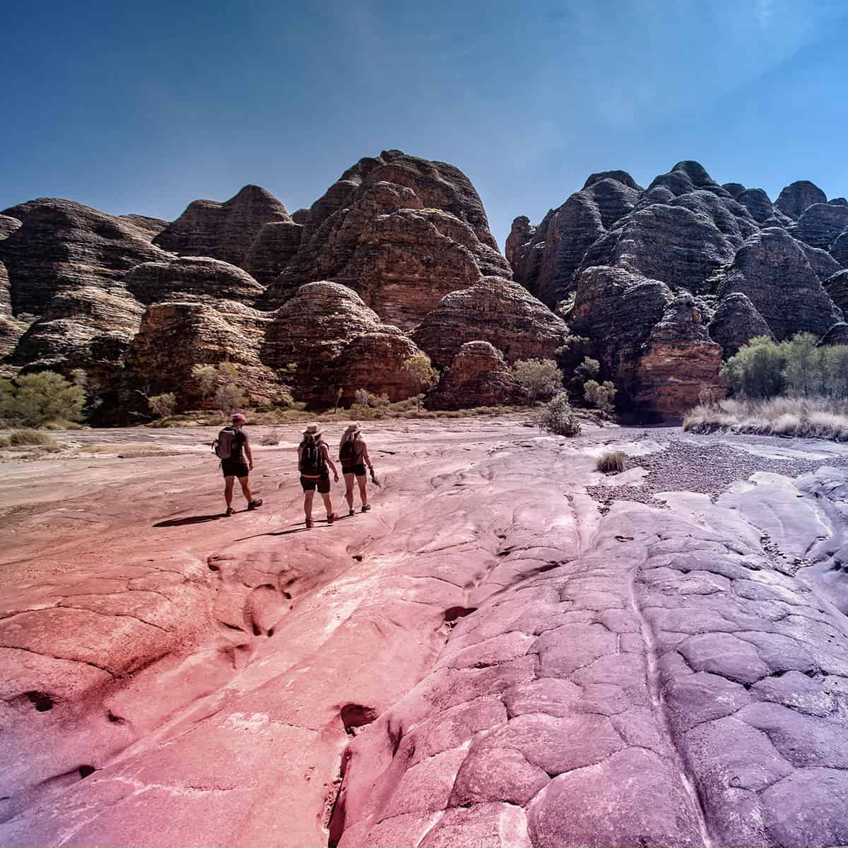 Sentify: Multisite Web Solution for a Global Business | Kicking Pixels